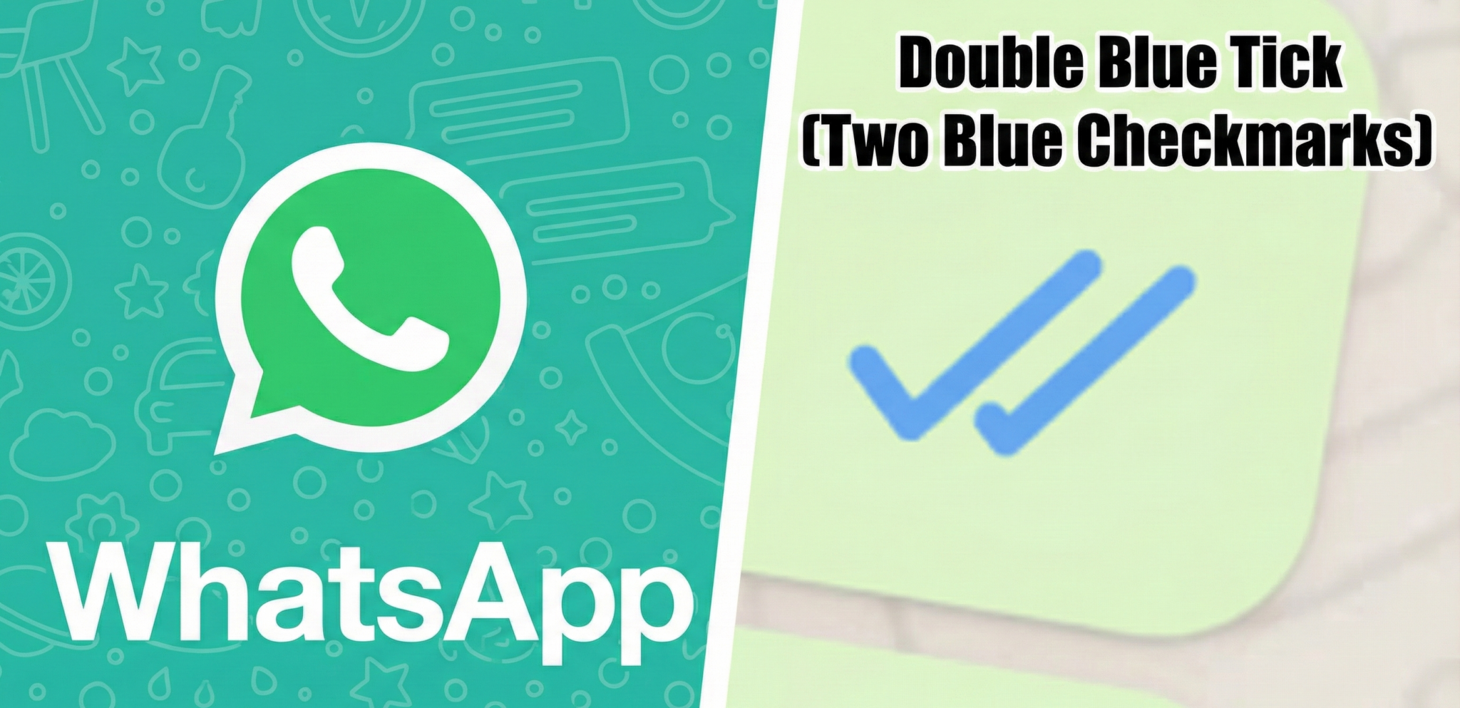 What Does the Double Tick Mark in WhatsApp? - Sendwo